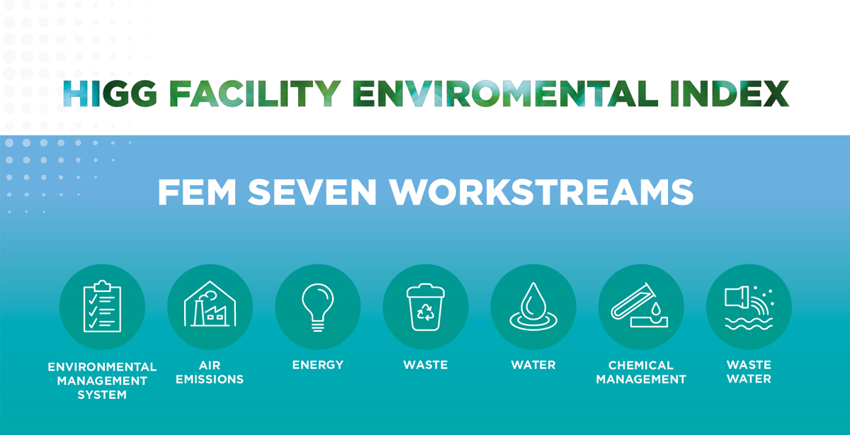 More Than Safety: Substantiating Environmental Health and Safety (EHS) with Higg FEM and FLSM ...