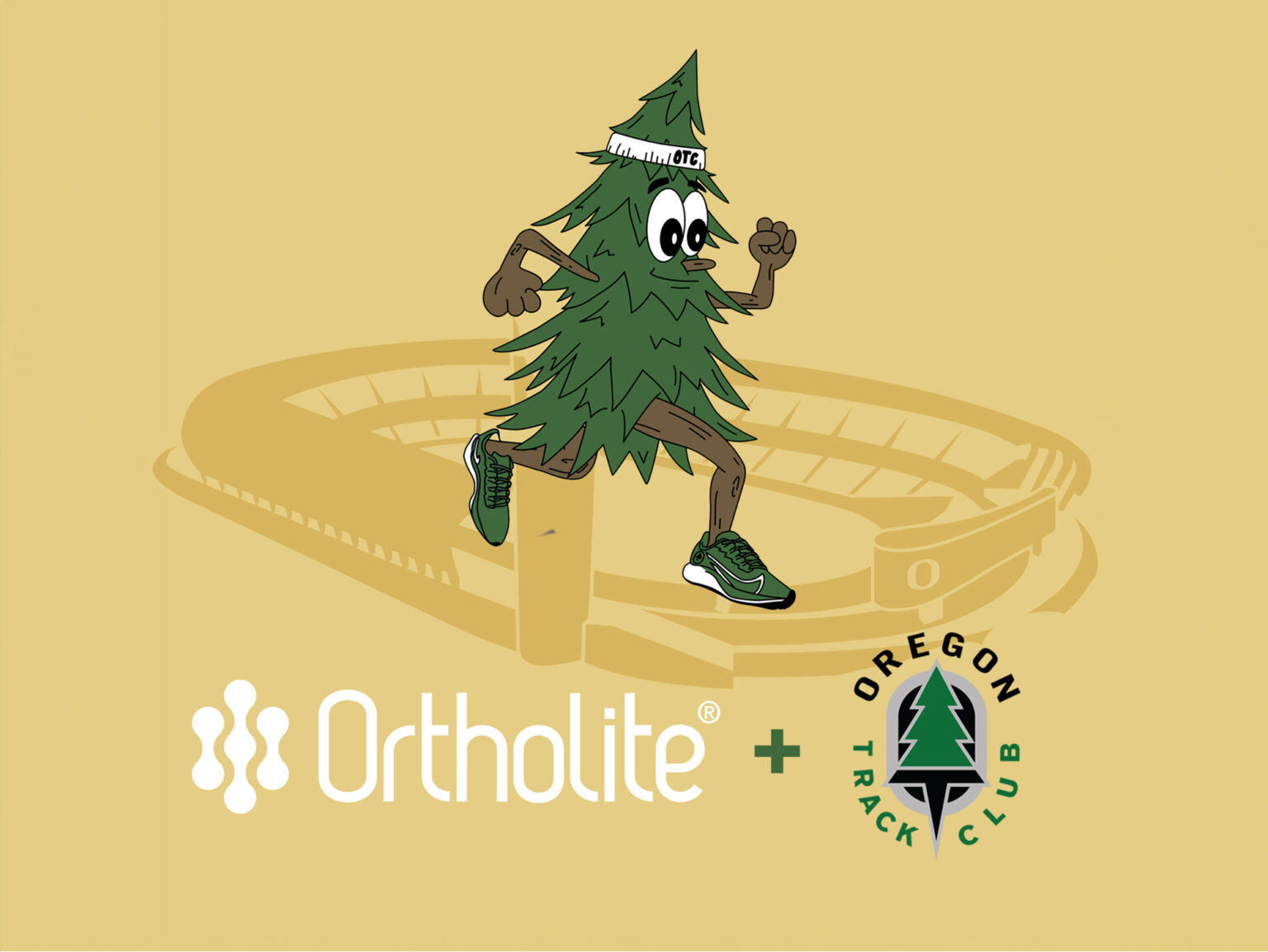 OrthoLite recebe as certificações Global Recycled Standard (GRS) e ...