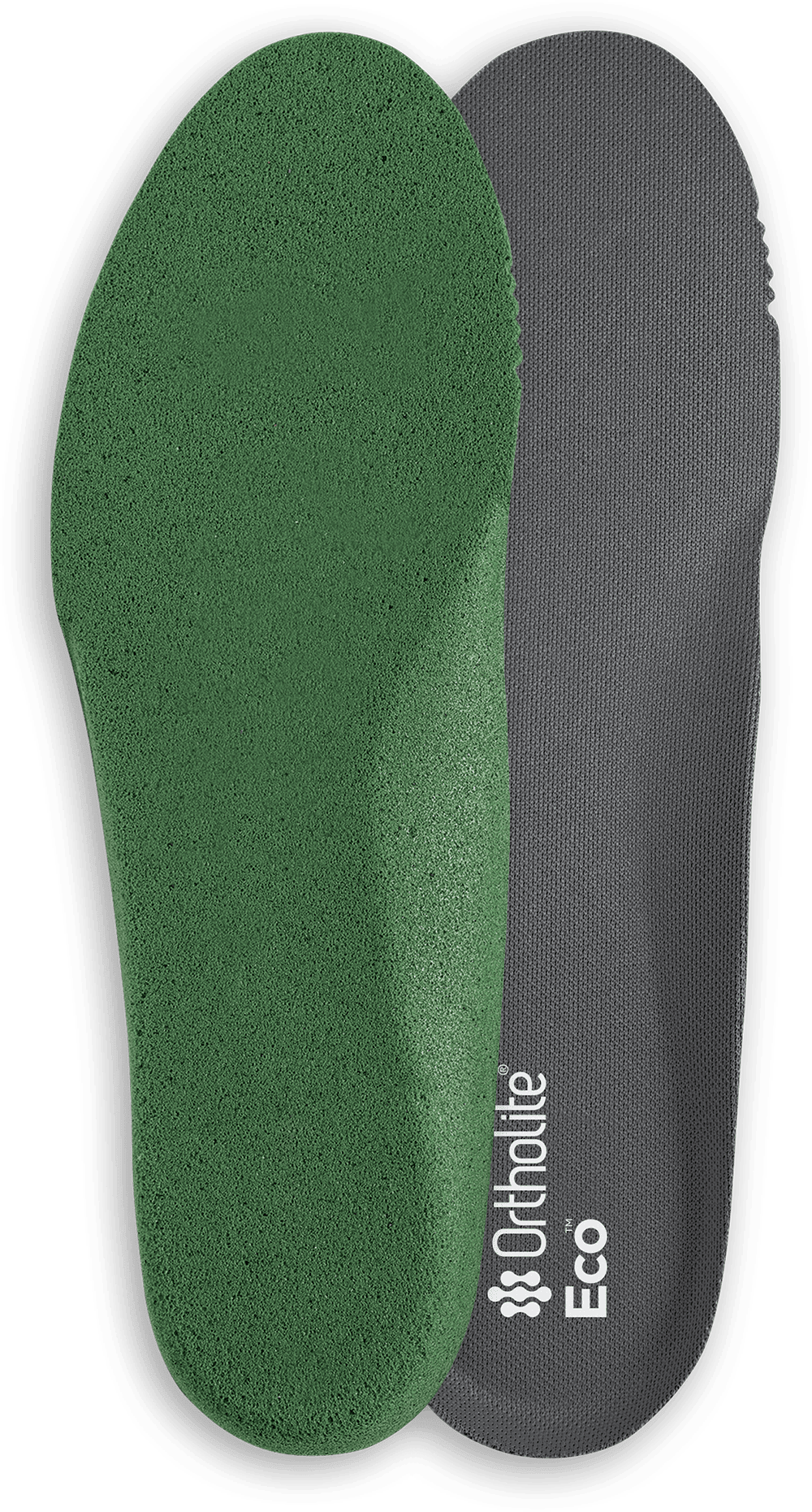 Eco - Ortholite