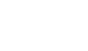 Eco - Ortholite